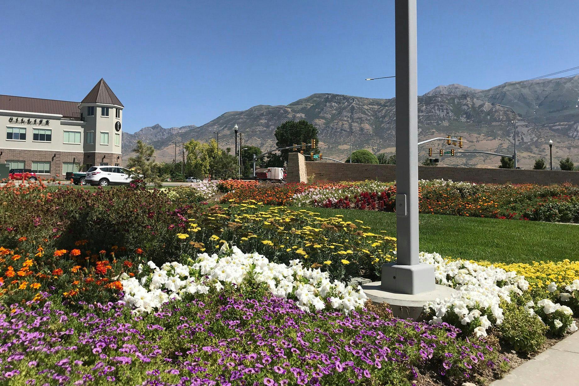 Commercial Outdoor Lighting Foundations | Pole Base