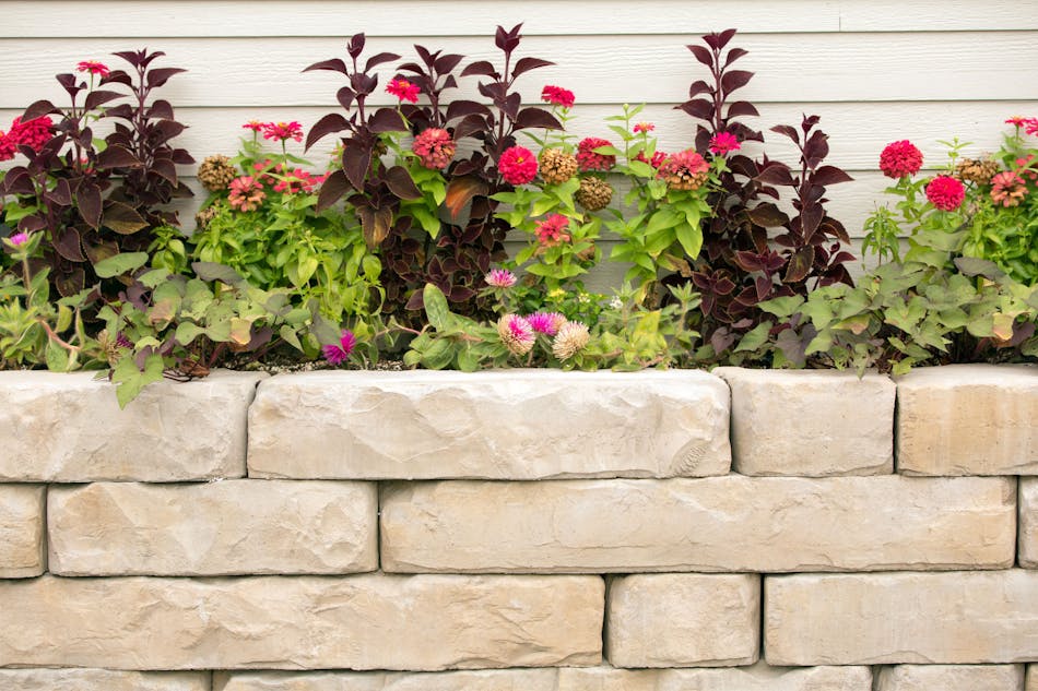 Snapped Limestone Freestanding or Retaining Wall - Rosetta Kodah